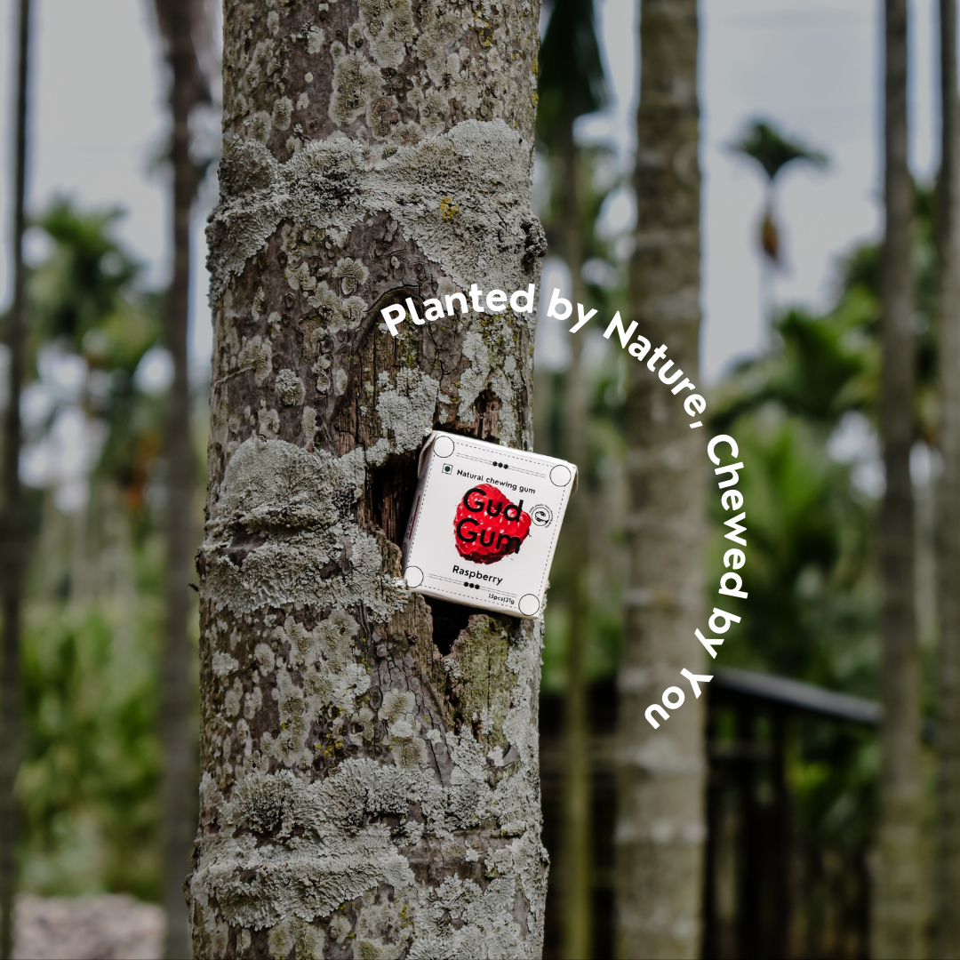 Gud Gum Mini Pack - Plastic-Free, Sugar-Free, Natural, Biodegradable ...