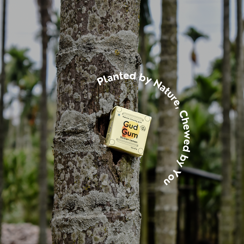 Plastic Free Chewing Gum- Lemon (15 pieces per pack)- 21g – Gud Gum ...