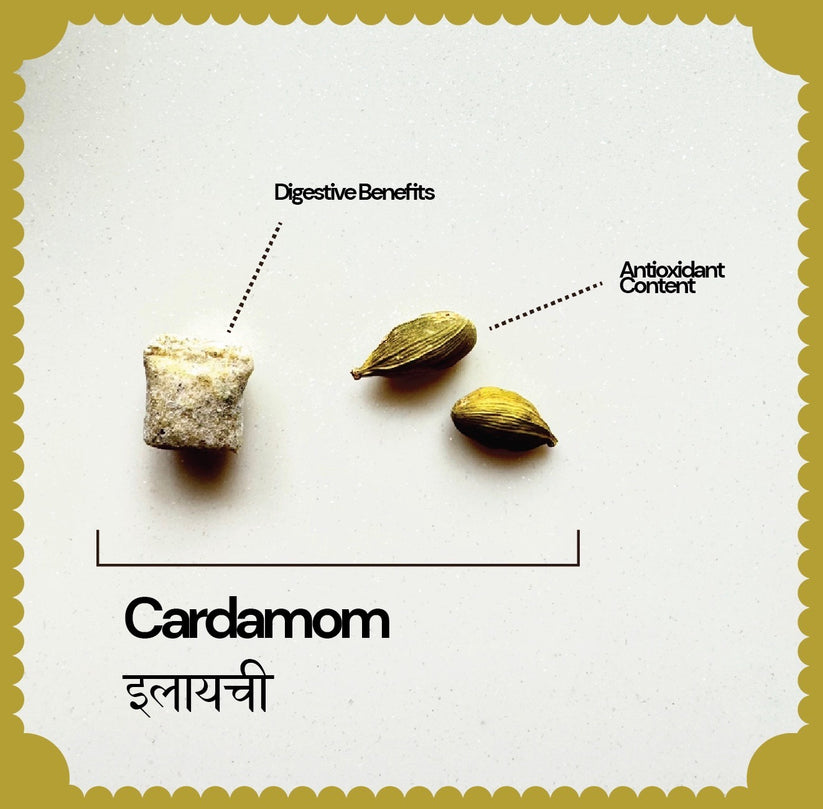 Cardamom Chewing Gum - Plastic Free, Sugar Free, Natural, Biodegradabl ...